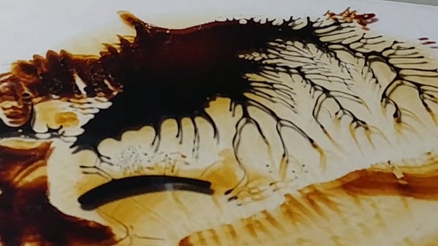 Cyron Completo - Team Second - Flow Visualization