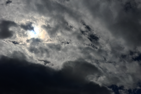 Steven Rothbart, Author at Flow Visualization