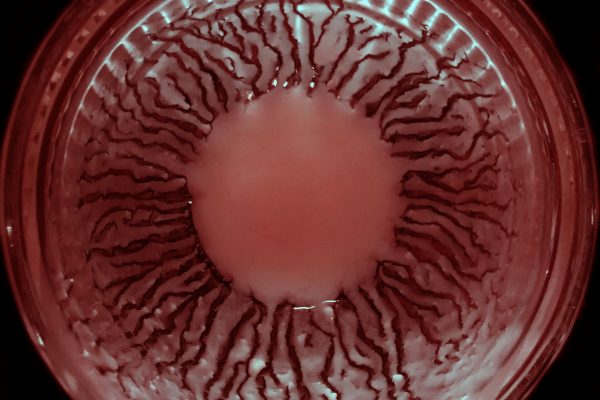 2018 Spring Team Third Archives - Flow Visualization