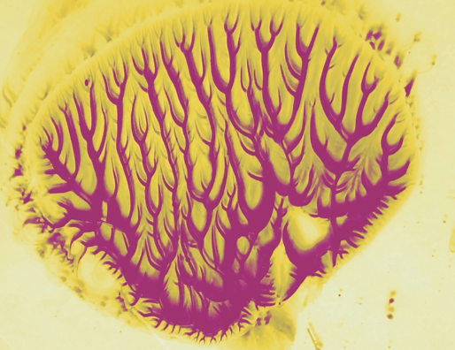 2018 Spring Team Second Archives - Flow Visualization