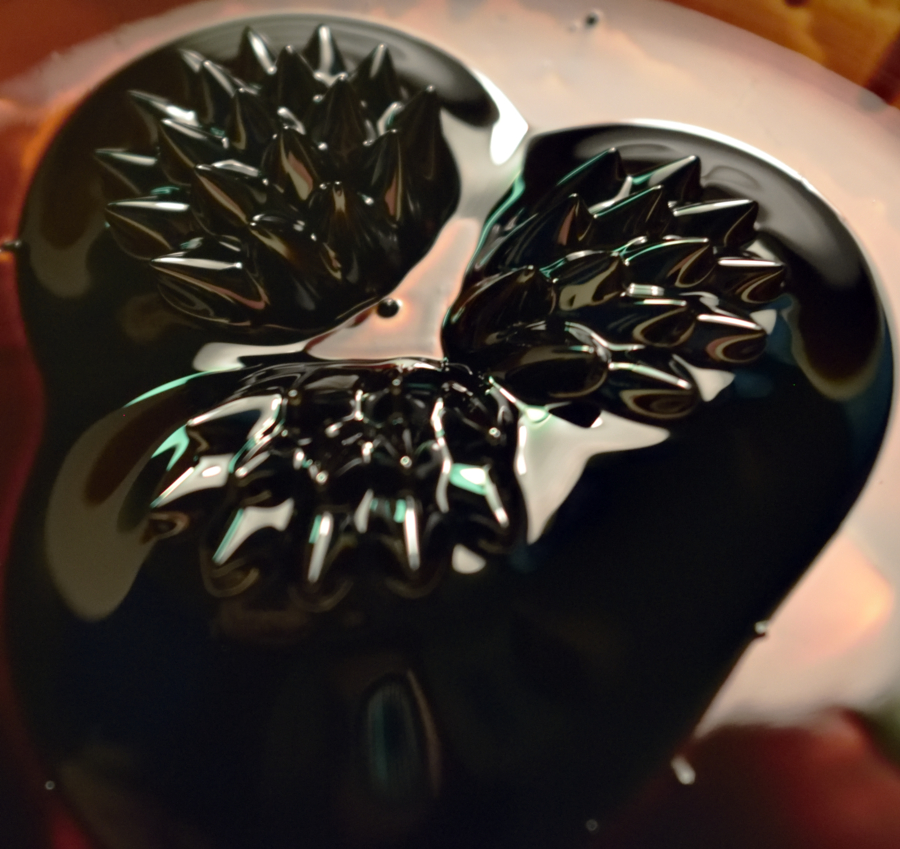 Magnets below a dish of ferrofluid induce the normal field instability. – Flow Visualization