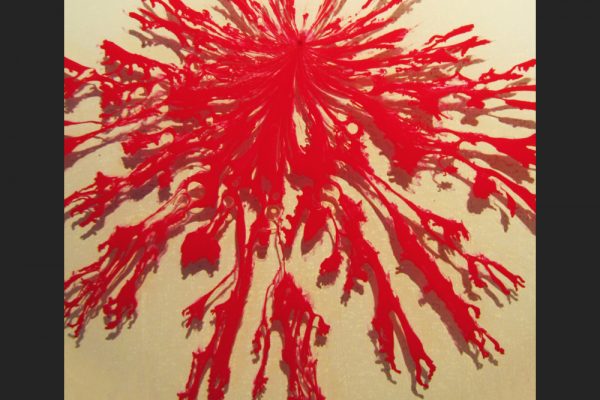 Saffman-Taylor Instability Archives - Flow Visualization