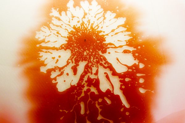 Saffman-Taylor Instability Archives - Flow Visualization