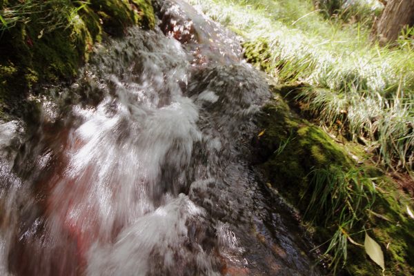 2018 Fall Get Wet Archives - Flow Visualization