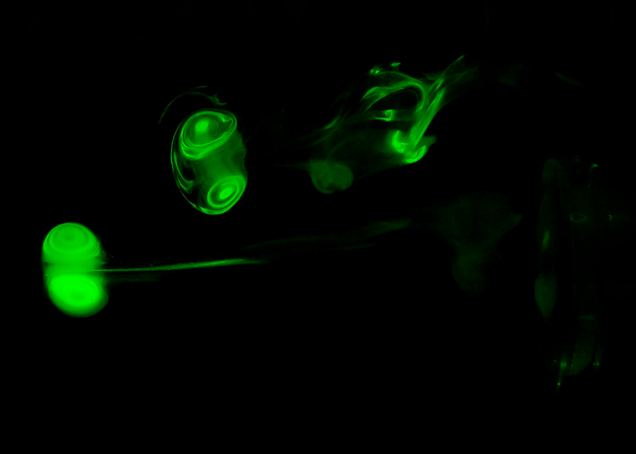 Ross Cooper – Flow Visualization