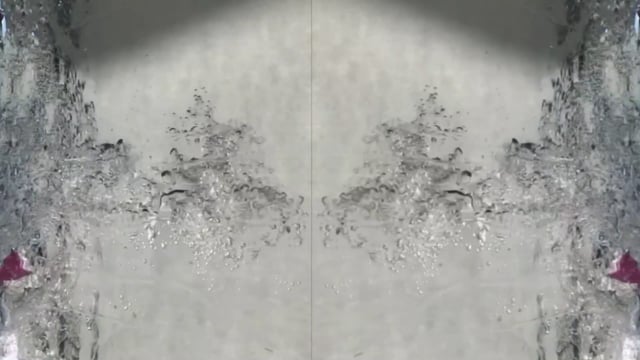 Chase Cleveland - Flow Visualization