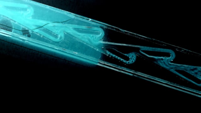 Duncan Lowery - Flow Visualization