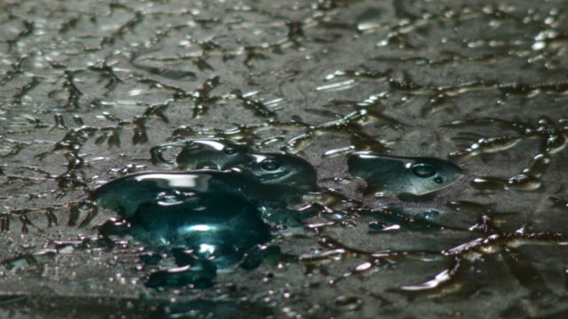 Duncan Lowery - Flow Visualization