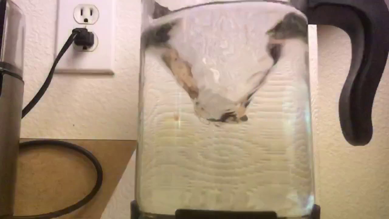 Get Wet // Brandon Gushlaw - Flow Visualization Get Wet // Brandon Gushlaw - Flow Visualization