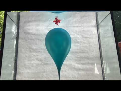 Ziwei Zhao - Flow Visualization