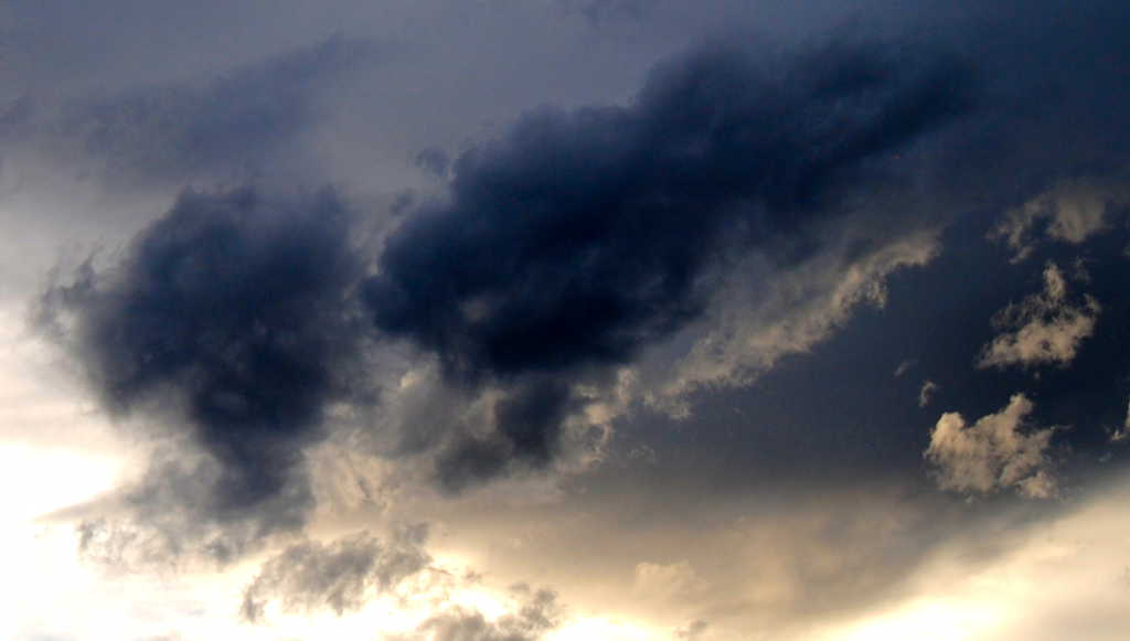 Cloud First//Brandon Gushlaw - Flow Visualization