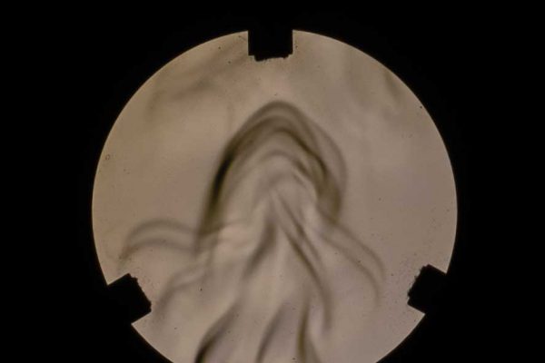 Casey Munsch – Flow Visualization