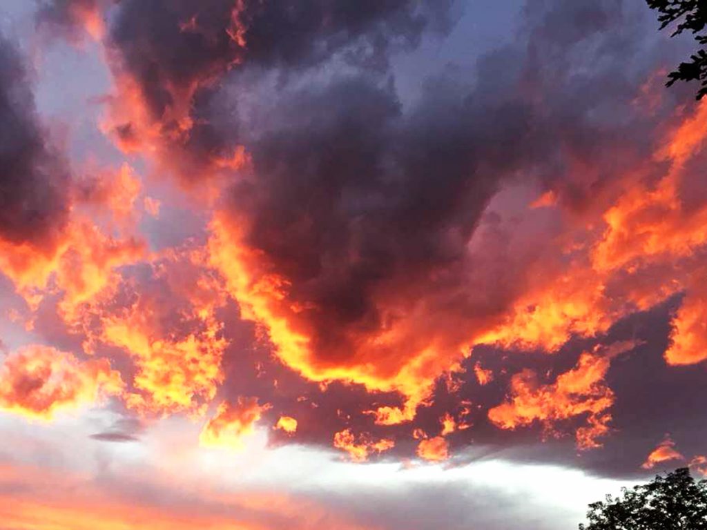 Ziwei Zhao//Cloud First - Flow Visualization