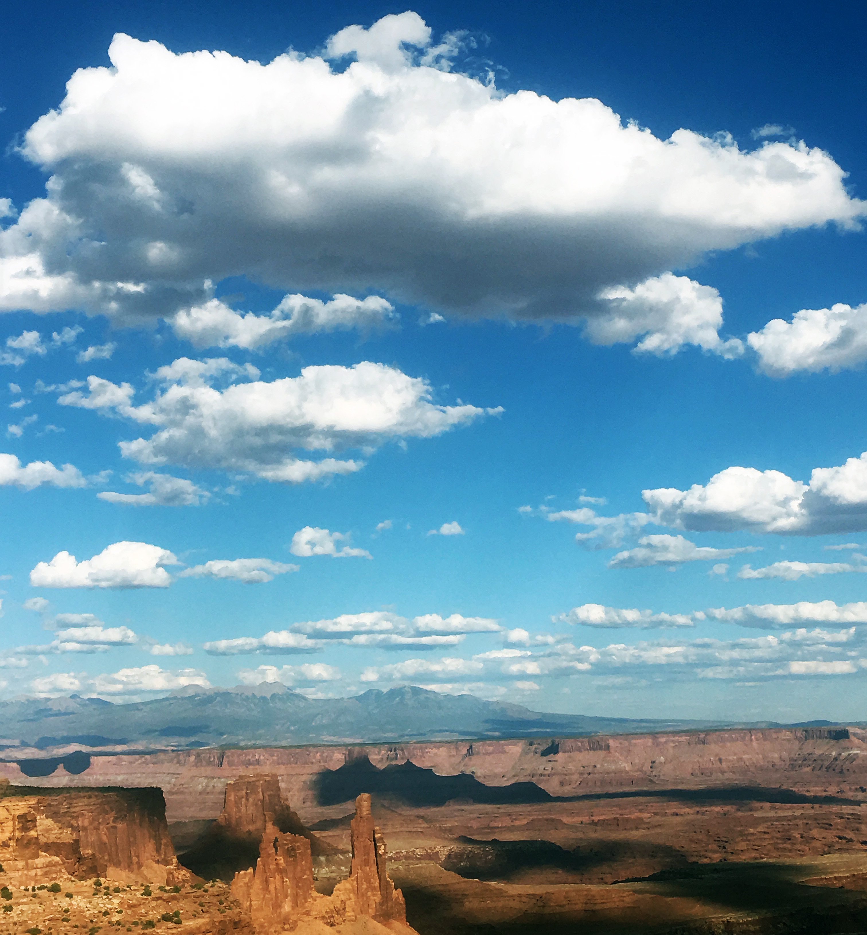 Anna Lynton - Flow Visualization