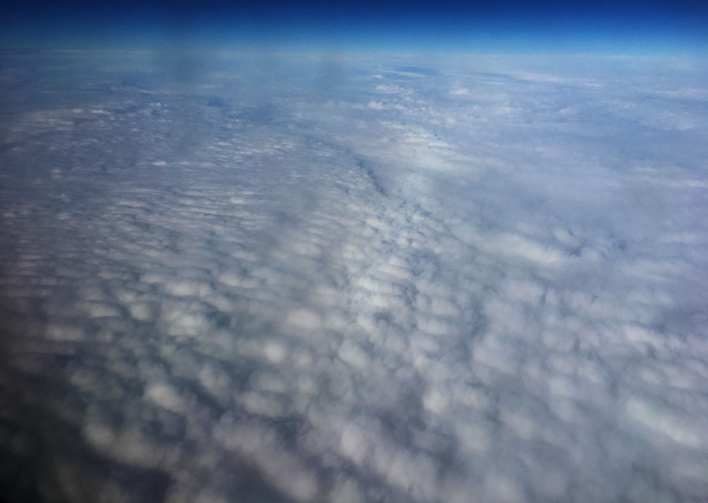 Chase Cleveland - Flow Visualization