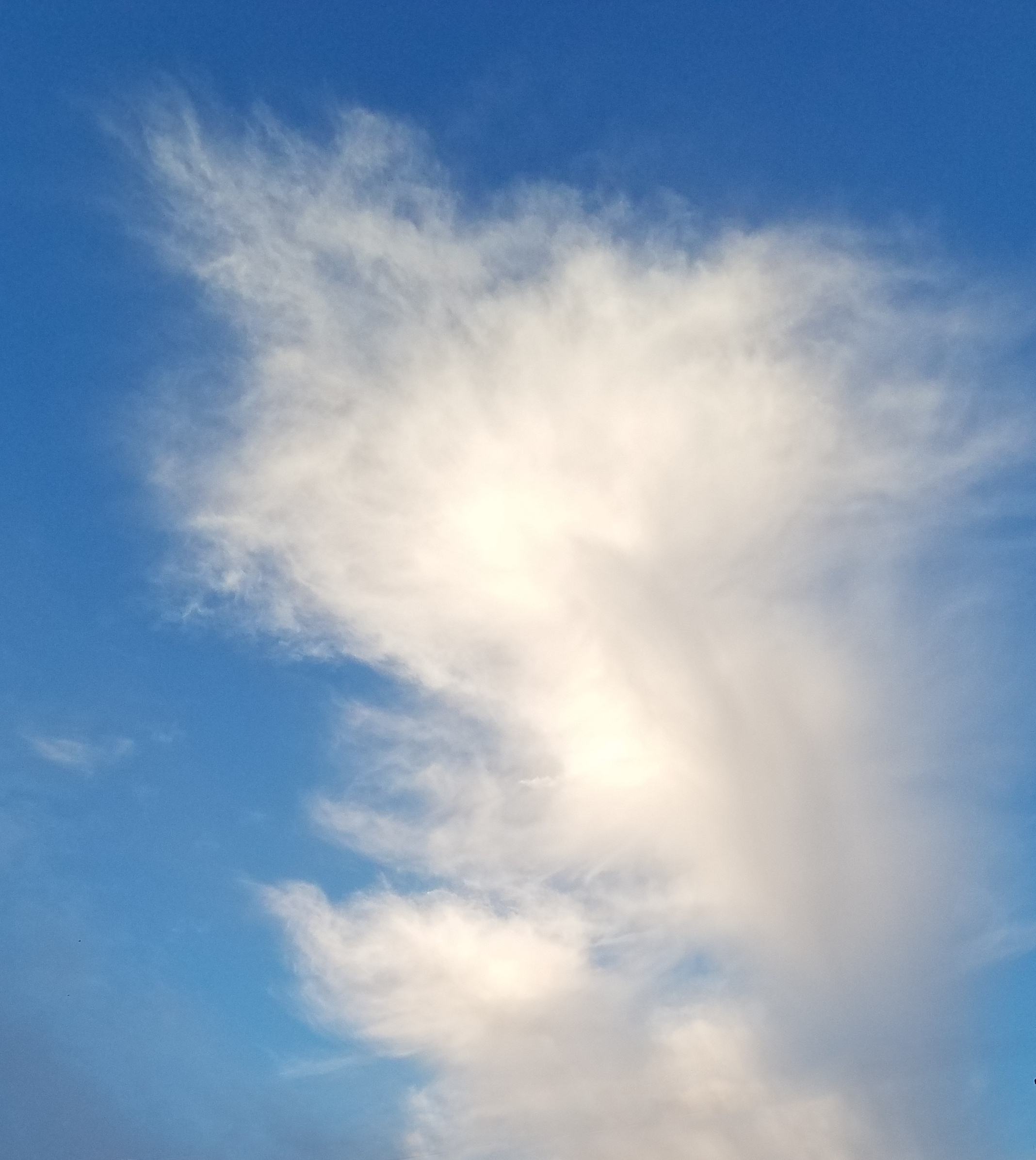 Cloud second photo // Greg Collins - Flow Visualization