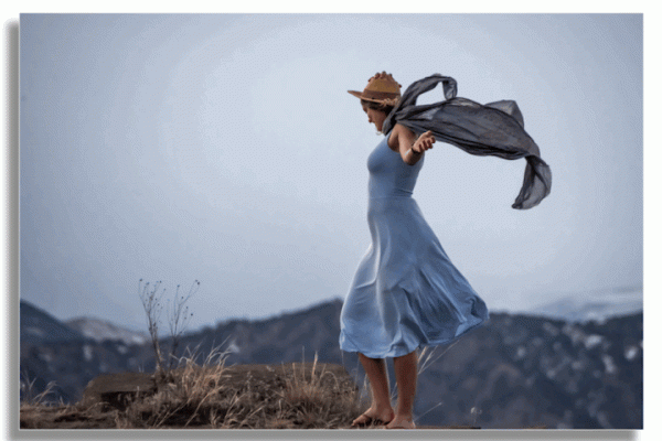 Dylan Crane – Flow Visualization