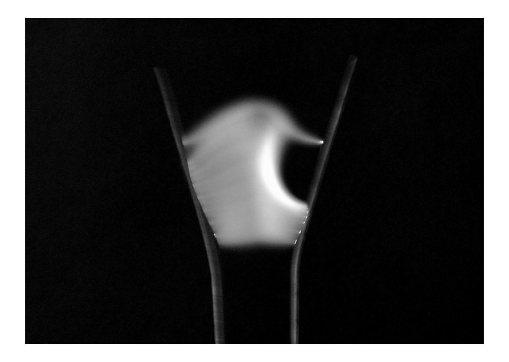 Bradley Busek // Group Third // Group 8 - Flow Visualization