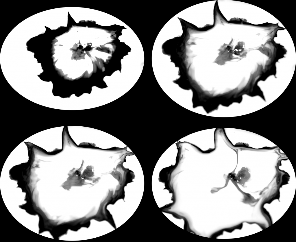 Team Third // Wenjin Li - Flow Visualization