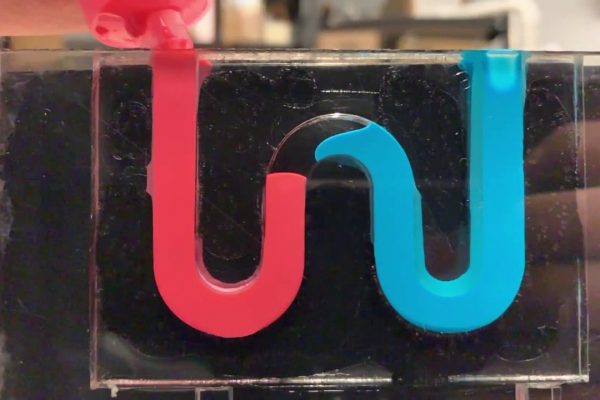 2018 Fall Team Third Archives - Flow Visualization