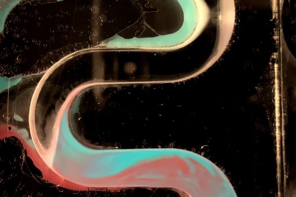 2018 Fall Team Third Archives - Flow Visualization