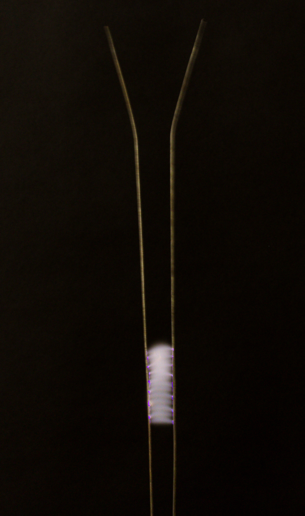 Team 3// Brent Eckles - Flow Visualization