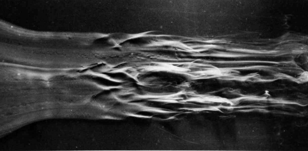 Matthew Knickerbocker – Flow Visualization