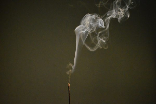 Alejandro BarronToriello, Author at Flow Visualization