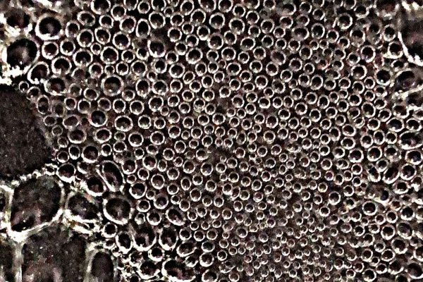 Audrey Viland – Flow Visualization