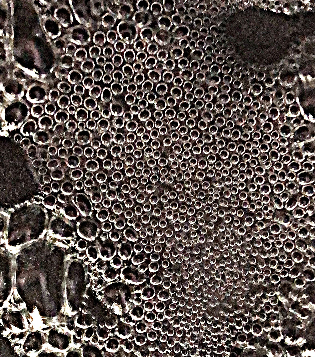 Get Wet // Audrey Viland - Flow Visualization