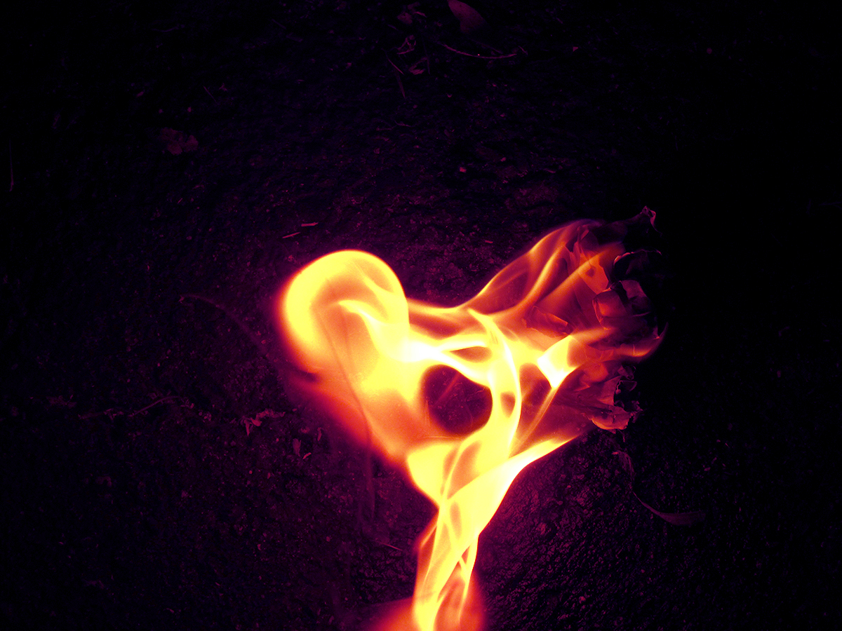 Abdullah Alsaffar - Flow Visualization