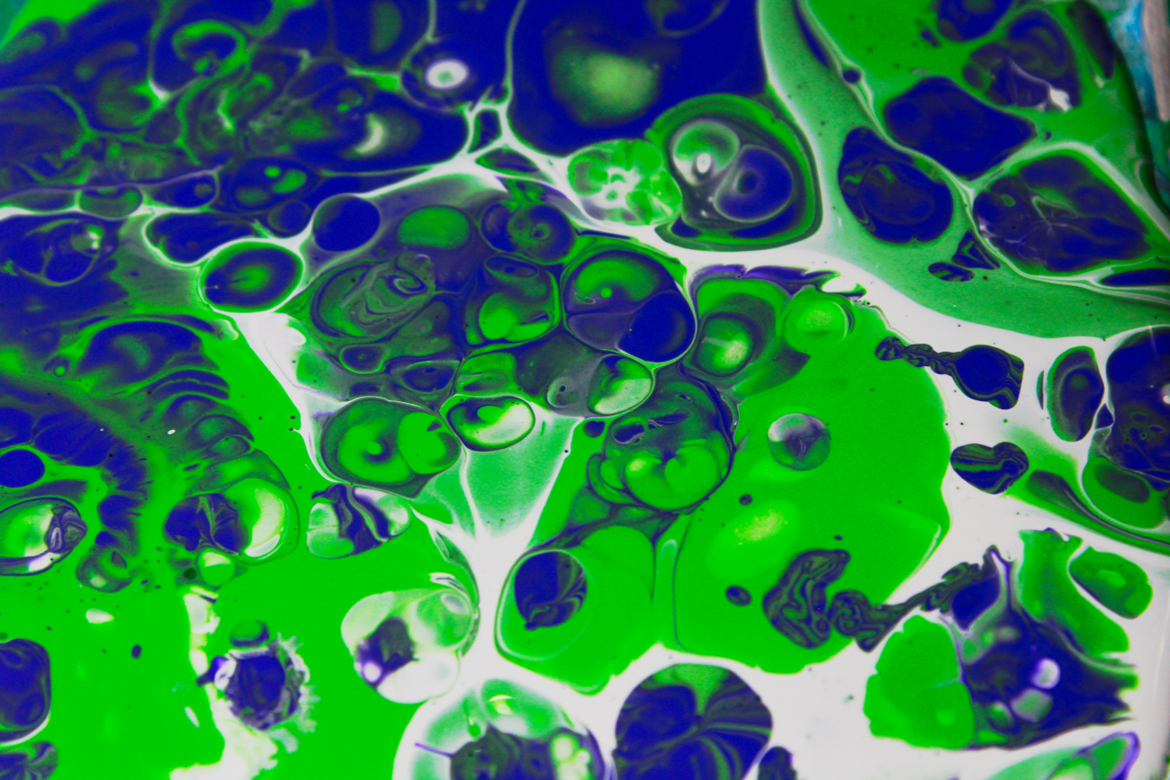 Jamie Frankel-Team First Image: Mitosis - Flow Visualization