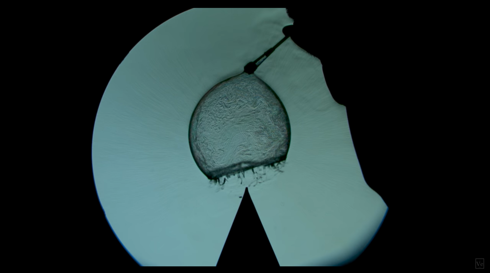 Best of Web // Max Armstrong - Flow Visualization