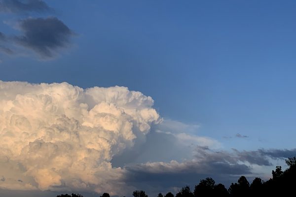 Jennifer Kracha – Flow Visualization