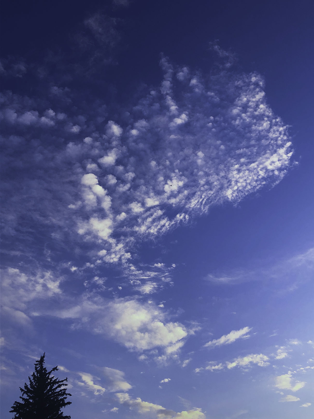 Cloud First // Meg Ivy - Flow Visualization