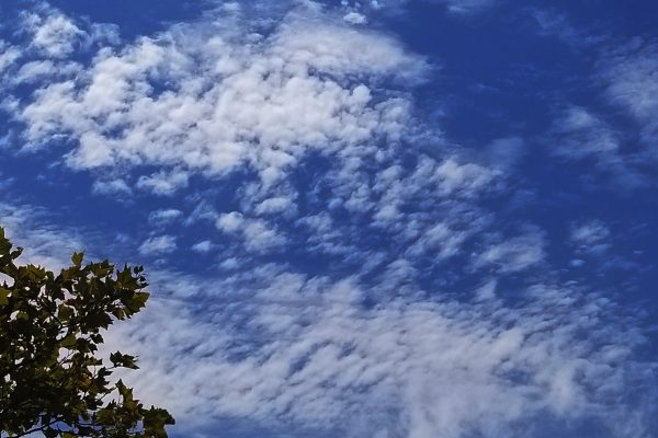 Shalil Jain, Author at Flow Visualization