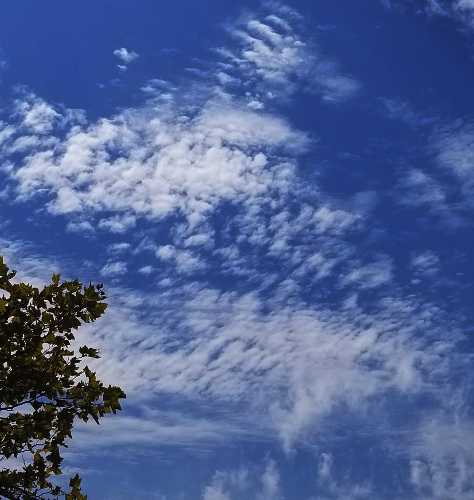 Clouds First // Shalil Jain - Flow Visualization