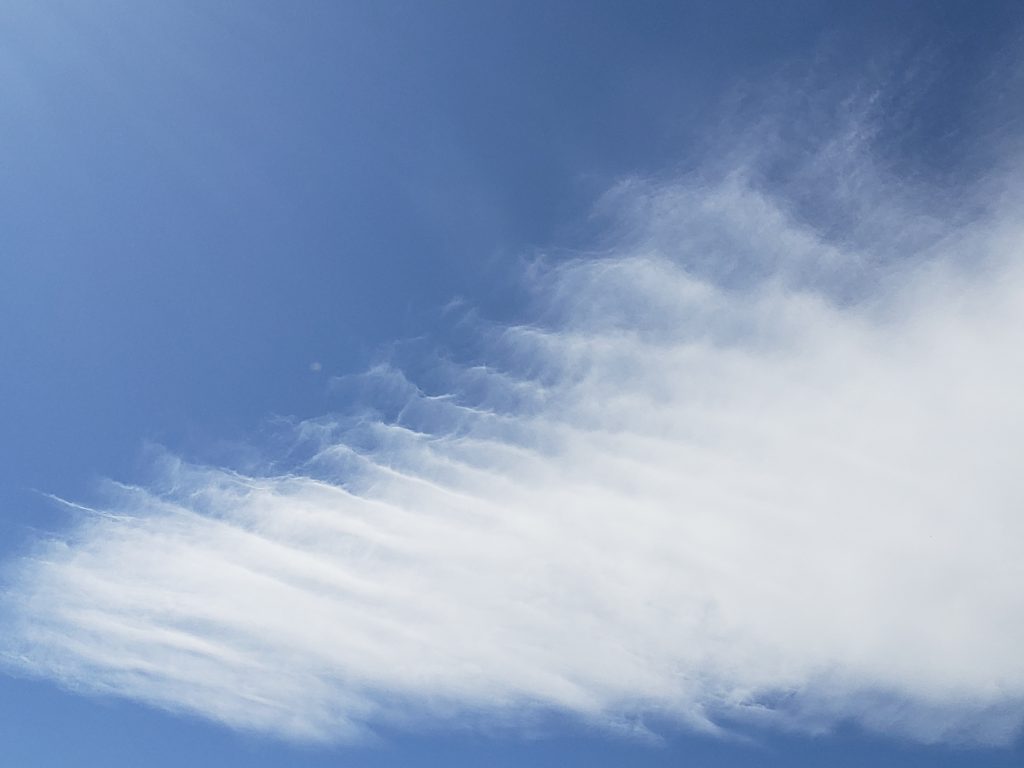 Clouds First // Dawood Ahmad - Flow Visualization