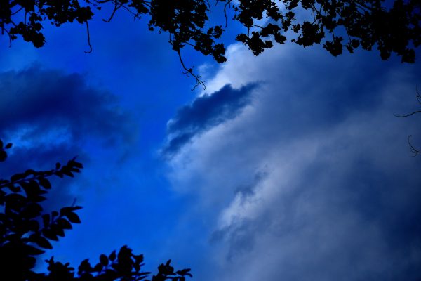 2019 Fall Clouds First Archives - Flow Visualization