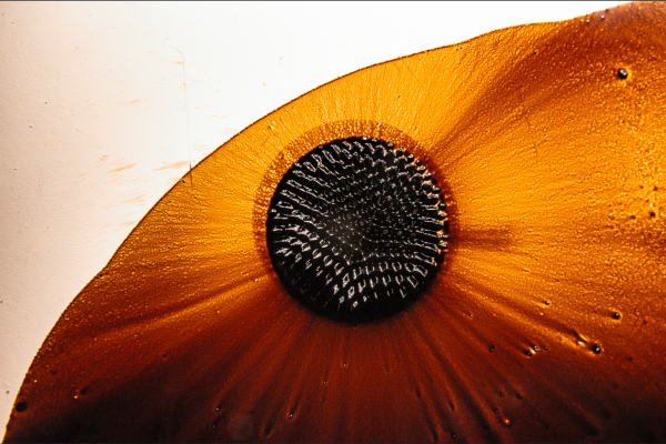 Ferrofluid Archives - Flow Visualization