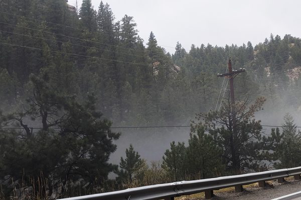 Peter Rosenthal, Author at Flow Visualization