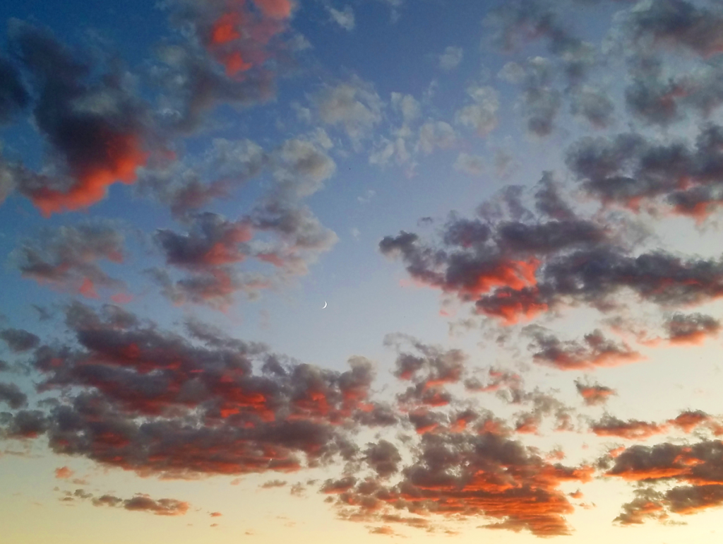 Cloud First // Brooke Shade - Flow Visualization