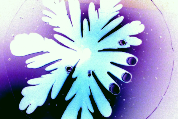 Brooke Shade – Flow Visualization