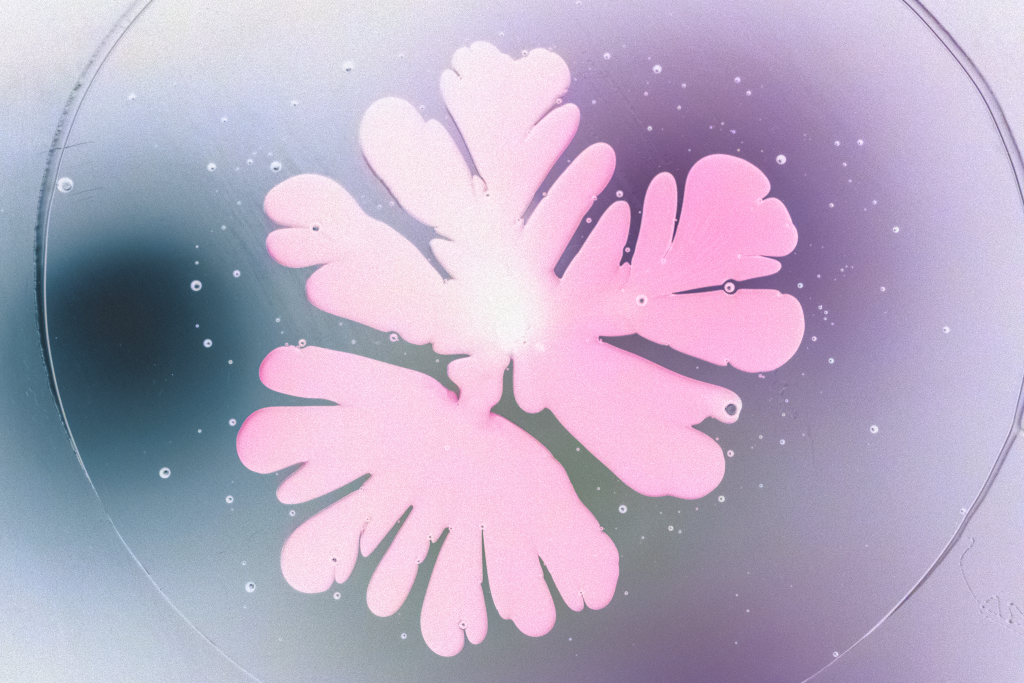 Team Second // Abby Rinerson - Flow Visualization