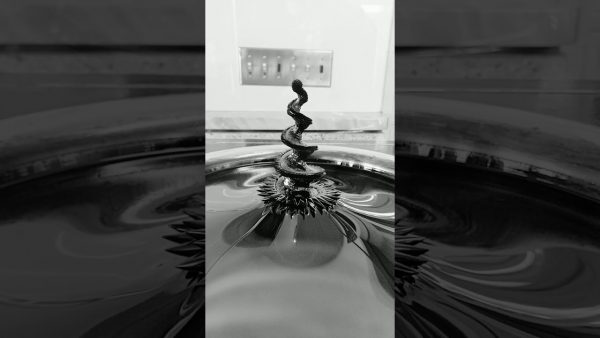 Evan Blake // Team Second – Flow Visualization