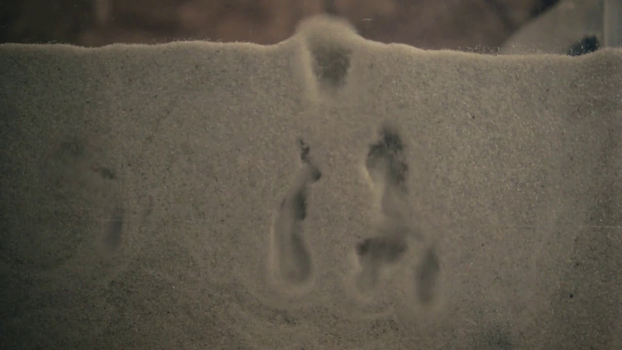 Team Second // Audrey Viland - Flow Visualization