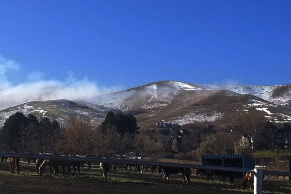 Shalil Jain – Flow Visualization