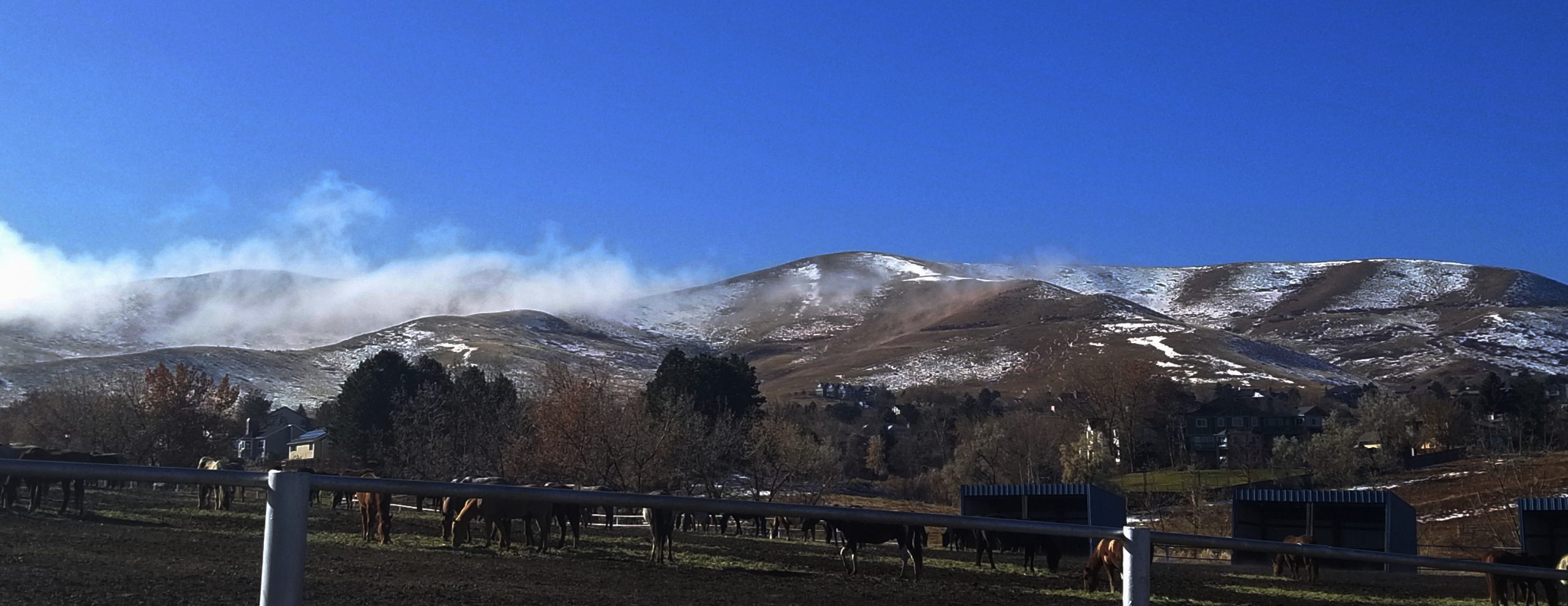 Clouds Second // Shalil Jain - Flow Visualization