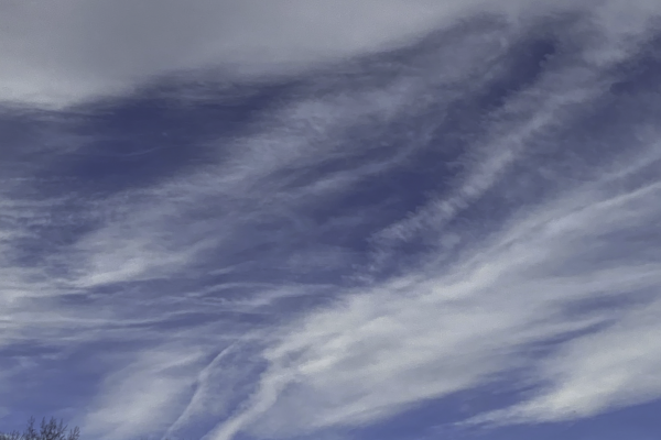 Meg Ivy, Author at Flow Visualization