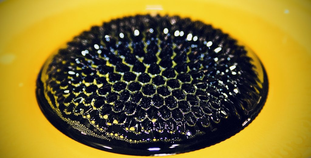 Team Third // Lucas Garcia - Flow Visualization